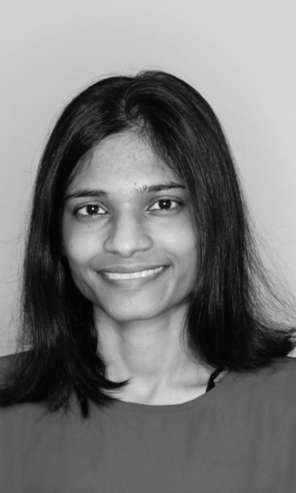 FlutterVikings, The biggest Flutter Conference in Nordic